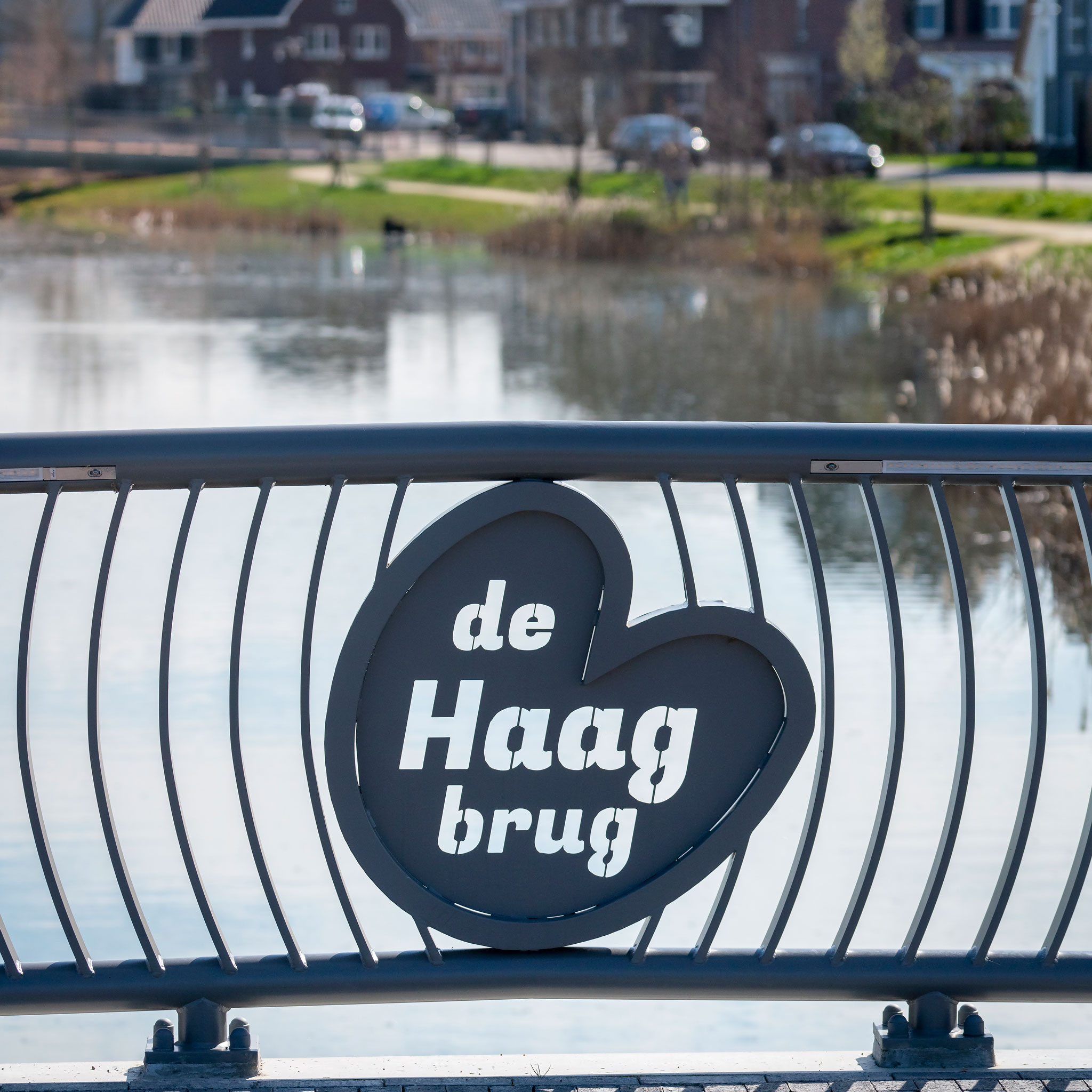 Hoef en Haag | Nieuwbouw Vianen