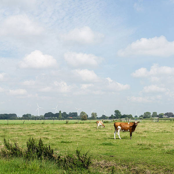 Waar ligt Hoef en Haag | Nieuwbouw Vianen