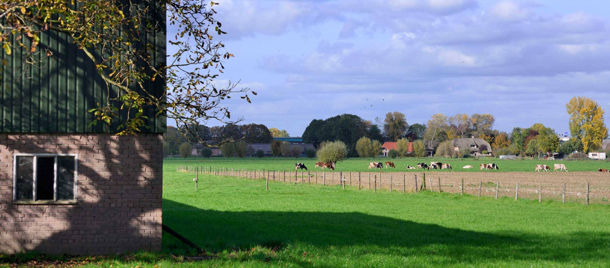 Waar ligt Hoef en Haag | Nieuwbouw Vianen